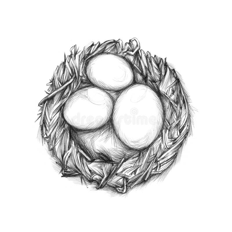 Simple nest with eggs stock illustration. Illustration of natural ...