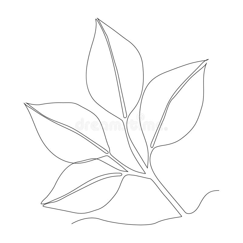 One Line Leaves Stock Illustrations – 8,215 One Line Leaves Stock ...