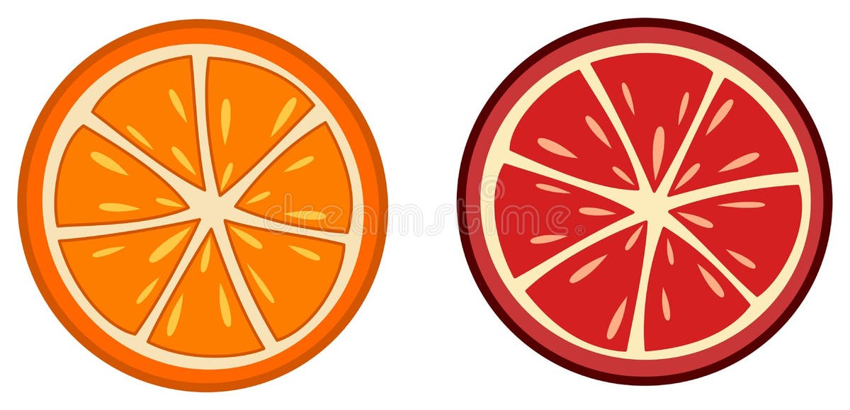 Orange Slice Drawing Stock Illustrations – 17,568 Orange Slice Drawing ...