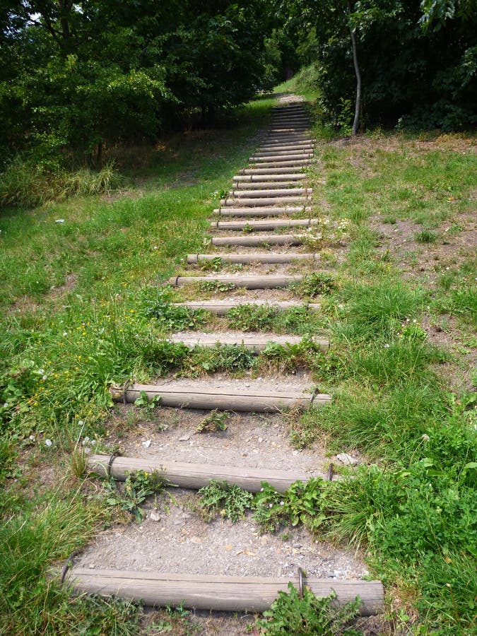 Simple Outdoor Stairway in a Park Stock Photo - Image of flower, light ...