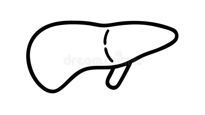 Liver Graphics Stock Illustrations – 831 Liver Graphics Stock ...