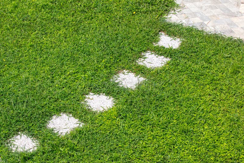Simple path in the lawn stock photo. Image of lawn, fresh - 287368946