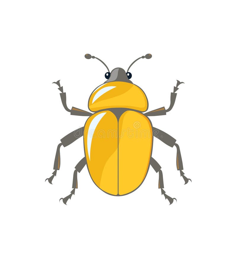 Simple and Perfect Insect Beetle Vector Stock Vector - Illustration of ...