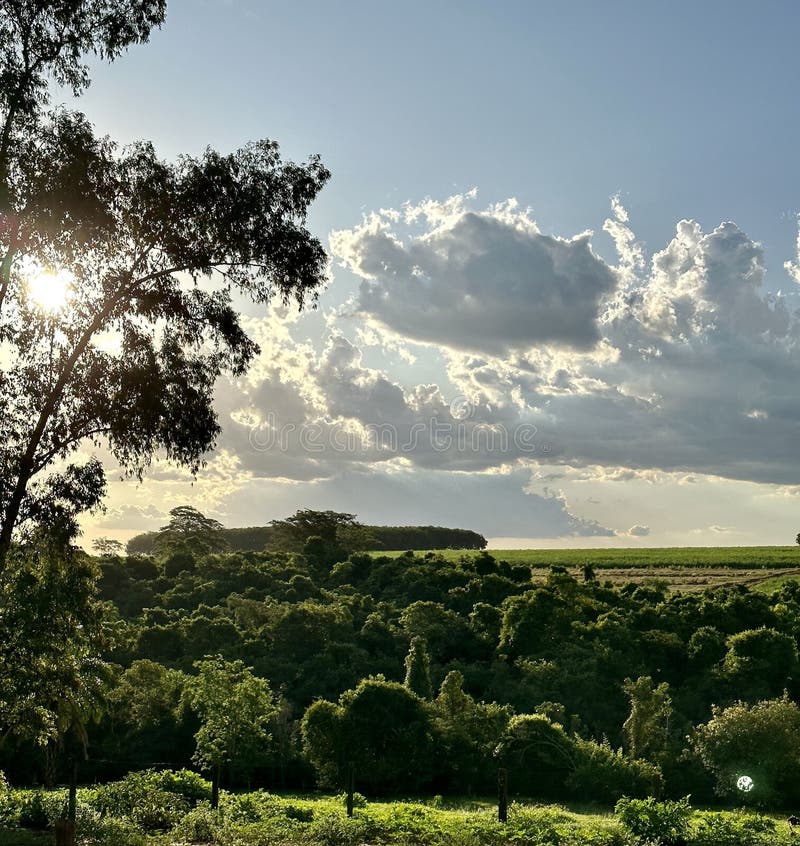 Admirable nature stock photo. Image of evening, reflection - 265694940