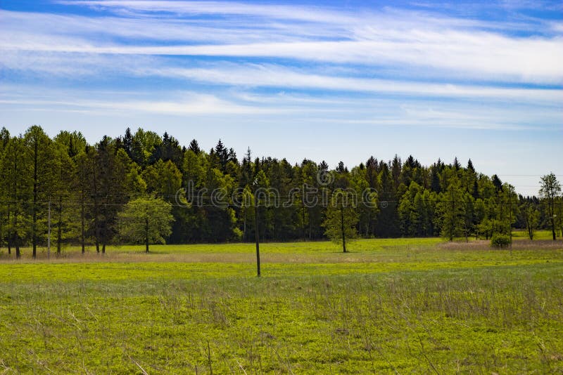 Simple Photo of a Beautiful Field and Forest in Summer. Stock Photo ...