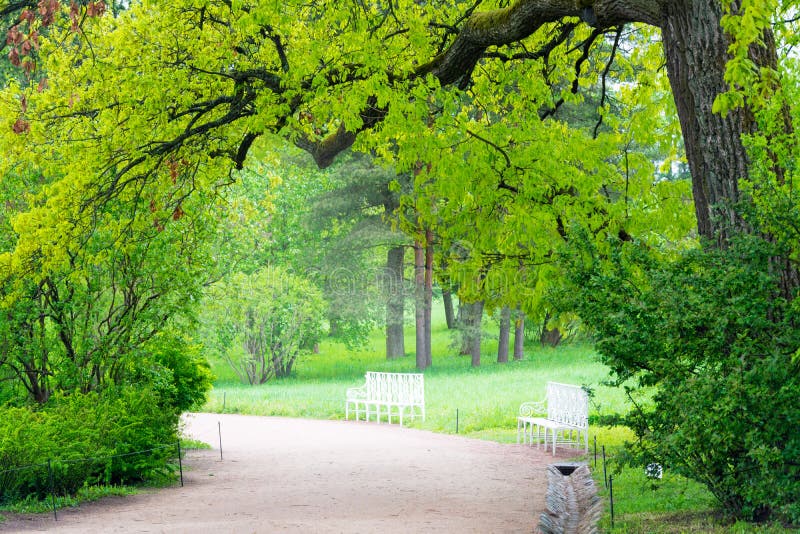 Simple Picturesque Park Alley Stock Photo - Image of relax, outdoor ...
