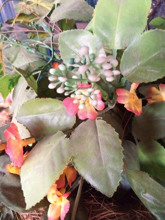 Simple Pink Flowers with Green Leaves Stock Photo - Image of branch ...