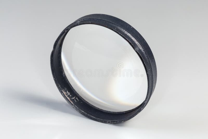 Planoconvex Plant Stock Photos - Free & Royalty-Free Stock Photos from ...