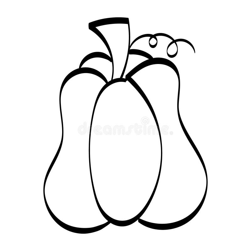 Simple Pumpkin Line Drawing for Print Stock Illustration - Illustration ...