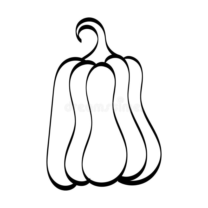 Simple Pumpkin Line Drawing for Print Stock Illustration - Illustration ...