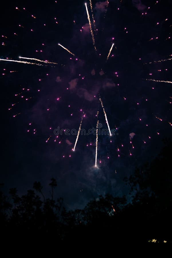 Simple Purple Fireworks and Sparks in the Night Sky Over Trees Stock ...