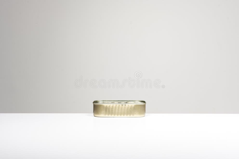 A Simple Rectangular Shaped Metal Canning Tin on a Smooth Stock Image ...
