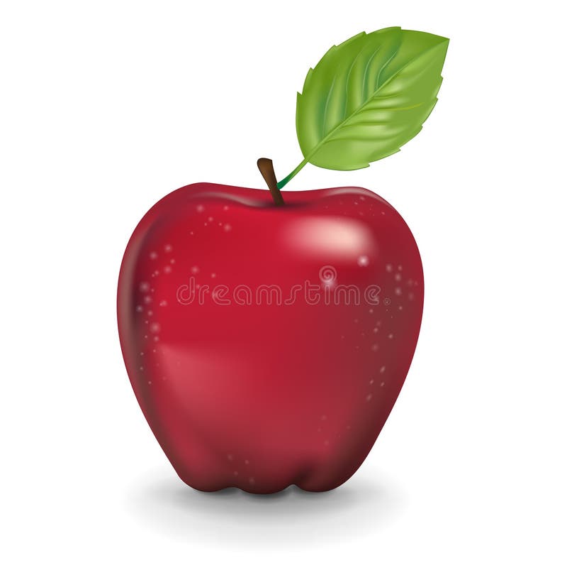 Red apple stock vector. Illustration of color, crop, concept - 24661589