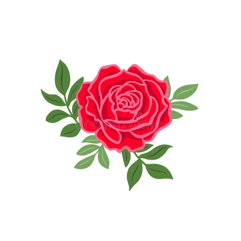 Simple Red Rose Vector on White Background. Stock Illustration ...