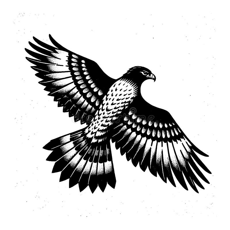 Simple Red-Tailed Hawk Flying Vector with Vintage Logo and Retro ...