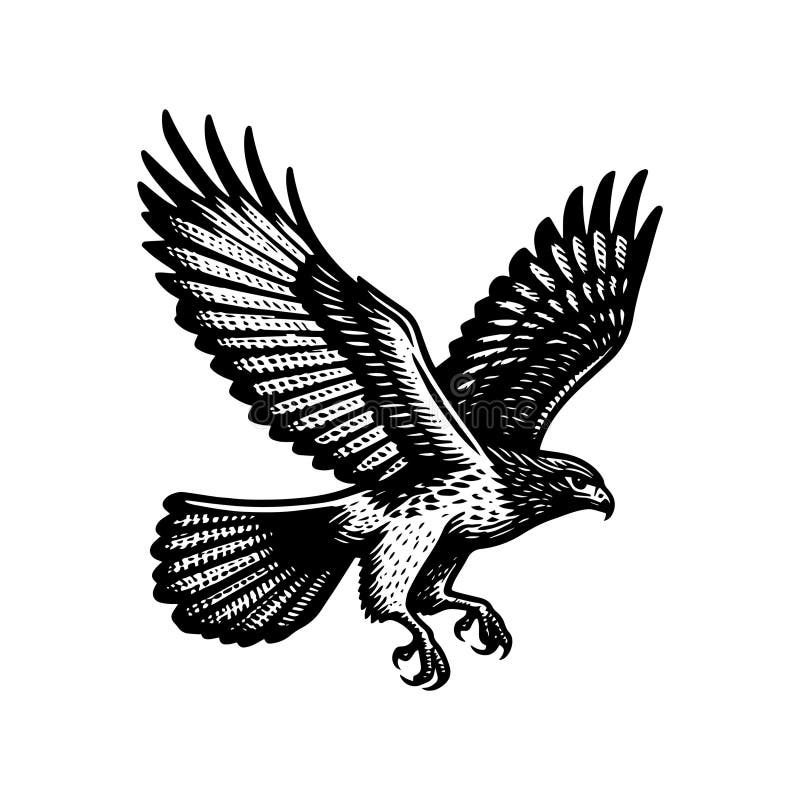 Red Tailed Hawk Flying Vector Icon Vintage Retro Logo Illustration ...