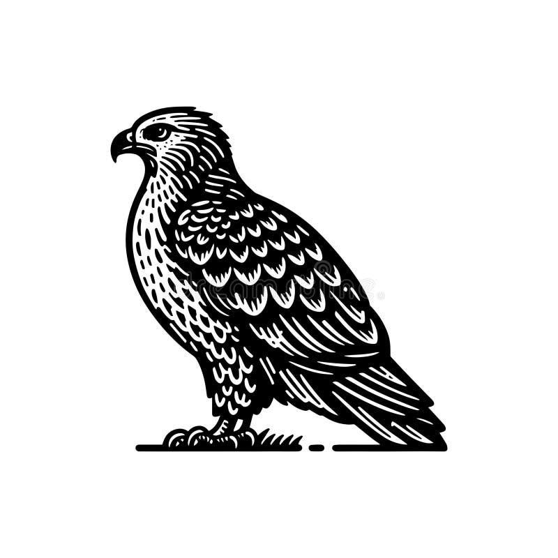 Simple Red-tailed Hawk Side View Vector Vintage Retro Illustration ...