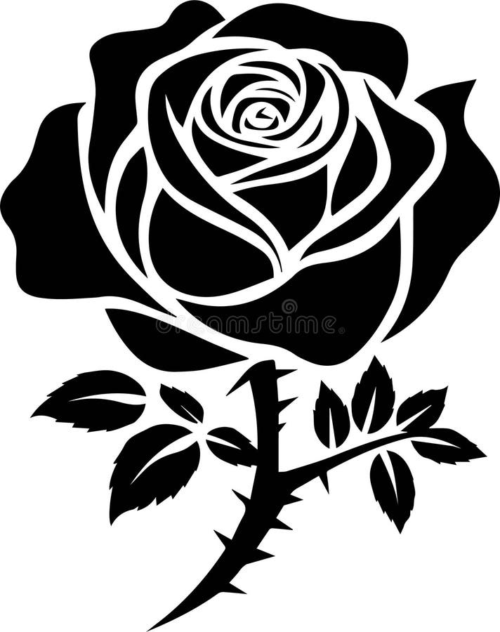 The Simple Rose Vector Illustrations Stock Vector - Illustration of ...