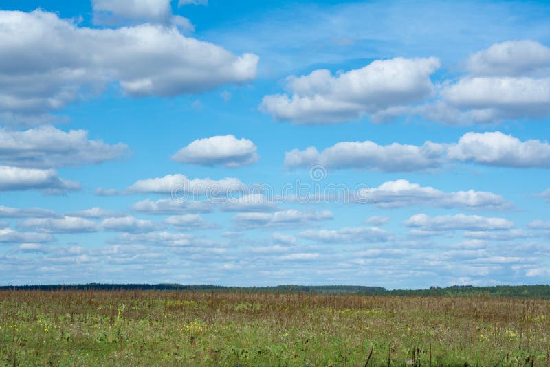 Overgrown Field and Blue Sky Stock Image - Image of field, countryside ...
