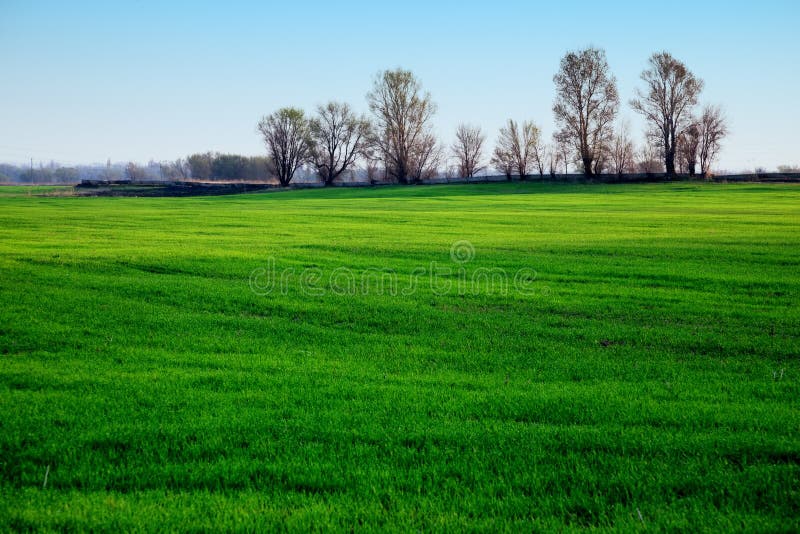 Simple rustic landscape stock image. Image of season - 36787457