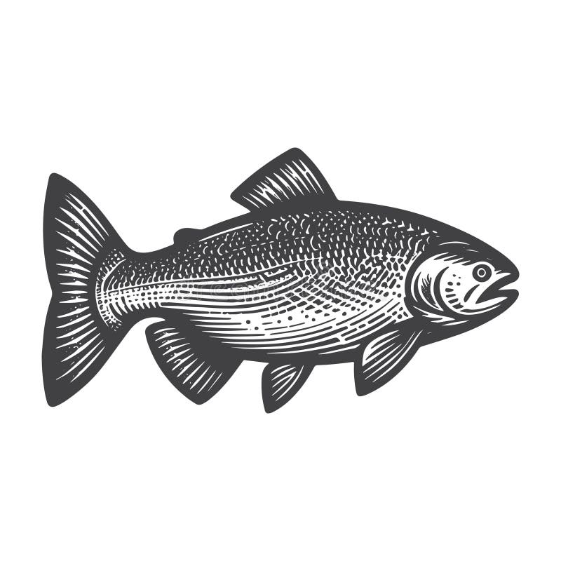 Simple Salmon Side View Vector Icon Vintage Retro Logo Illustration ...