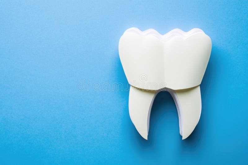 A Simple Scene Featuring a Tooth and Toothbrush on a Bright Blue ...