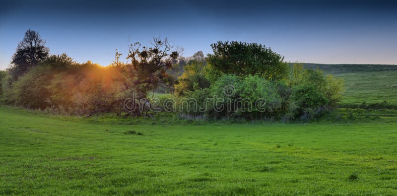 Simple Scene in Sunset about a Group of Trees on a Clearing, Alsobikol ...