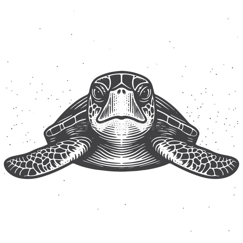 Simple Sea Turtle Front View Icon Design Vintage Retro Logo ...