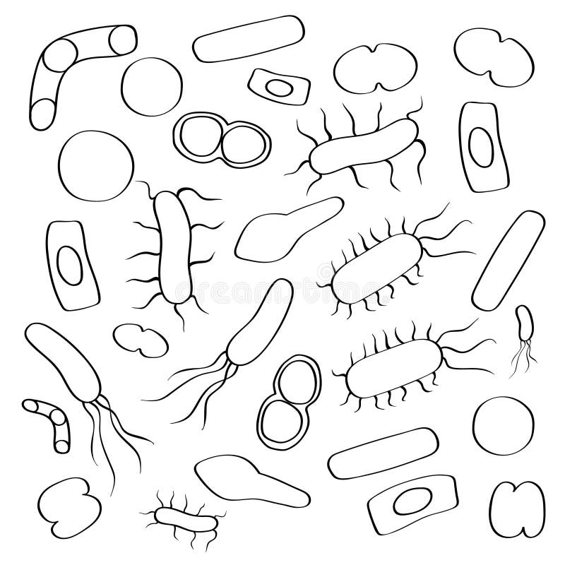Simple Set of Bacteria Related Vector for Your Design Stock ...
