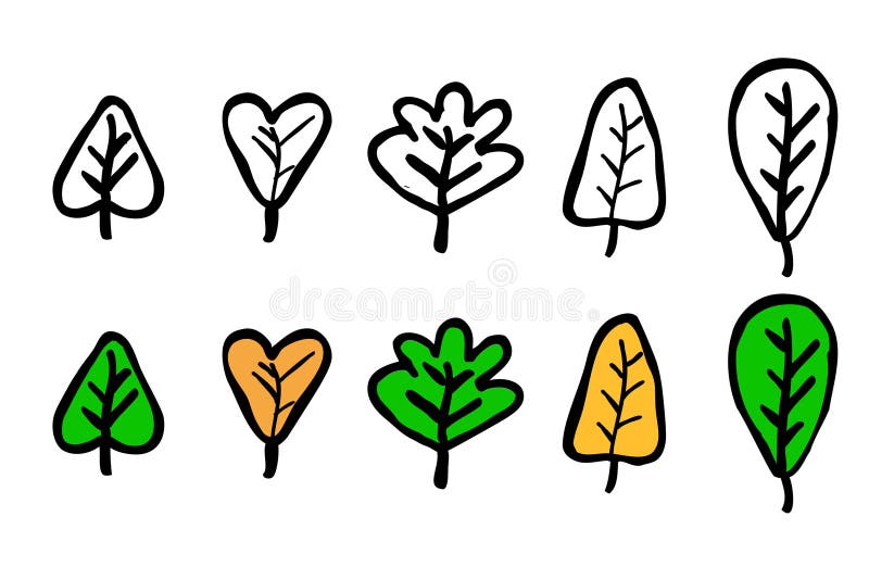 Simple Set Vector Doodle 10 Leaf, Isolated on White Stock Vector ...