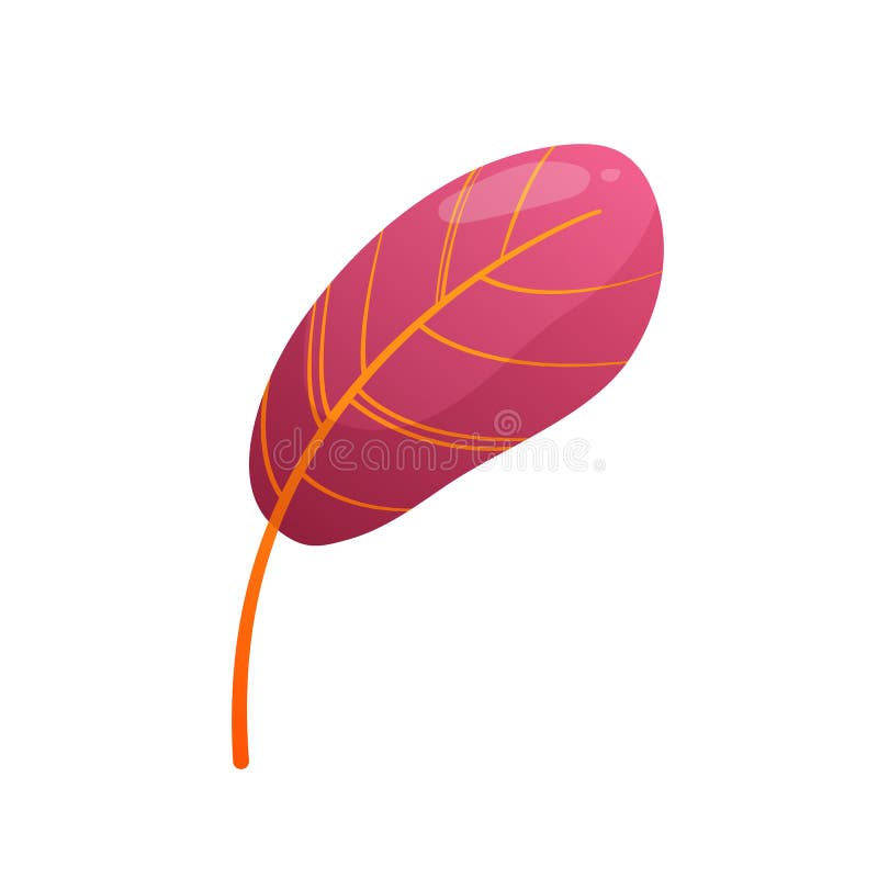 Autumn fall colorful leaf. stock vector. Illustration of object - 156545460