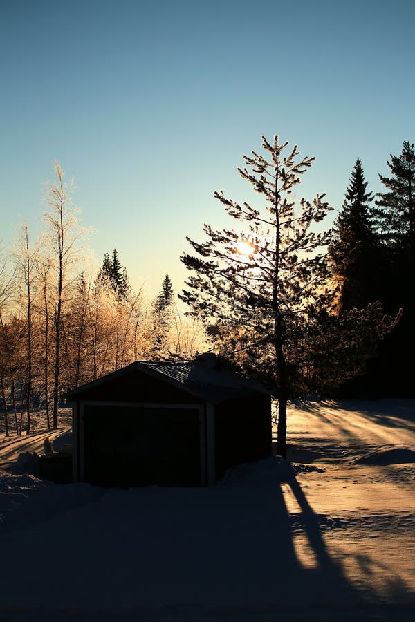 Simple Shed Backlit in the Morning in Swedish Winter Stock Photo ...