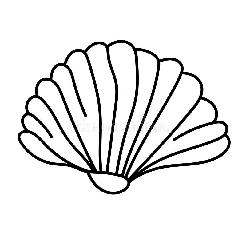 Simple Shell Outline Illustration Perfect for Modern Coastal Designs Stock Vector - Illustration ...