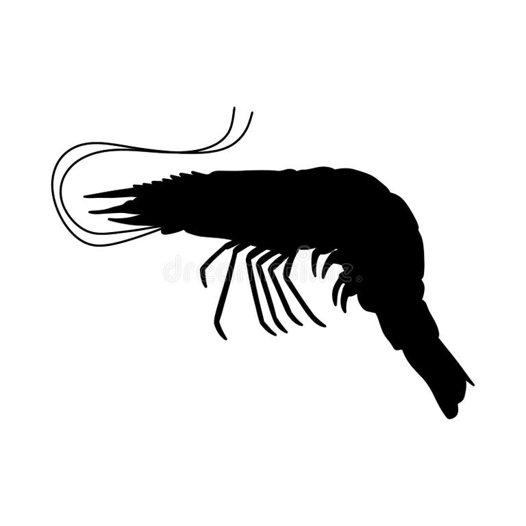 Simple Shrimp Silhouette Vector Illustration, Shrimp Fish Silhouette ...