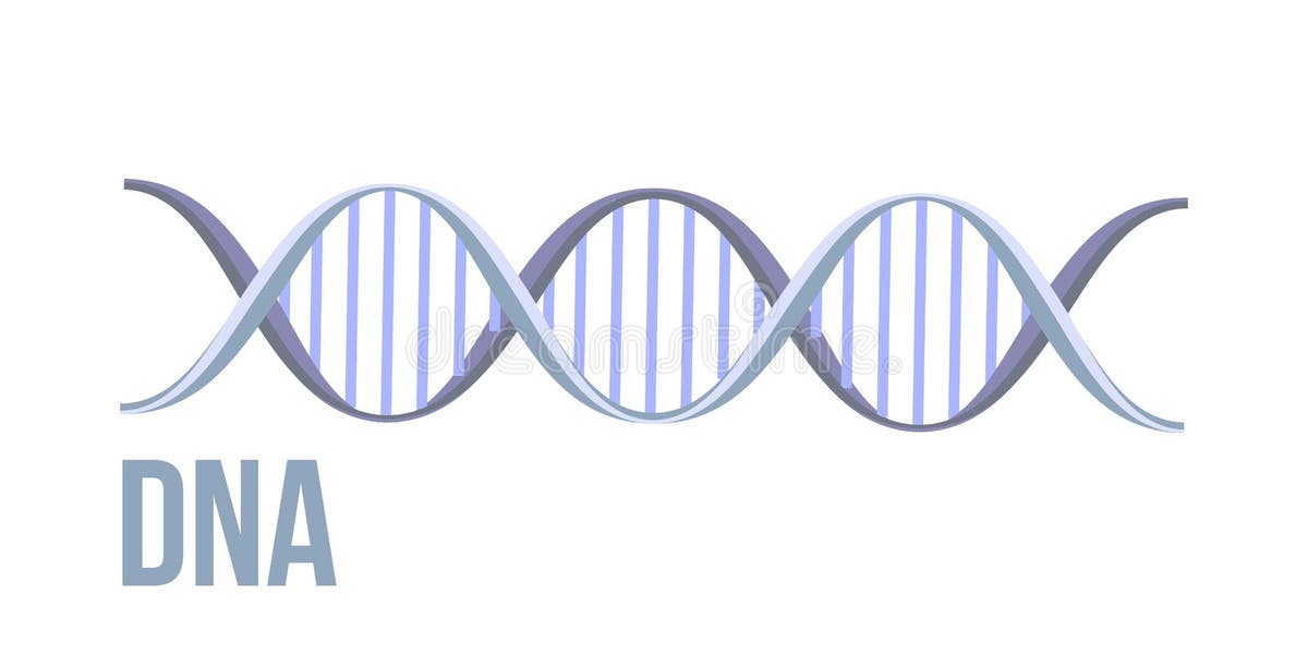 Dna Structure Vector Stock Illustrations – 60,712 Dna Structure Vector ...