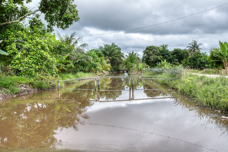 Simple Single Plank Wood Bridge Crossing the River Stock Photo - Image ...