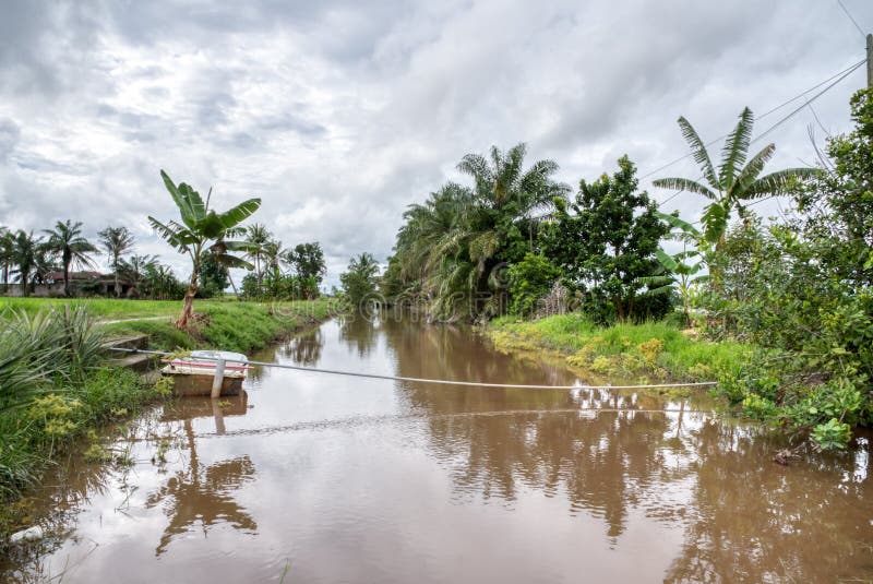 Simple Single Plank Wood Bridge Crossing the River Stock Image - Image ...