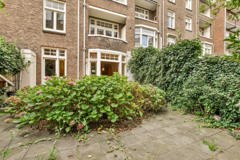 Simple Patio with Vegetation Inside Stock Photo - Image of neat, growth ...