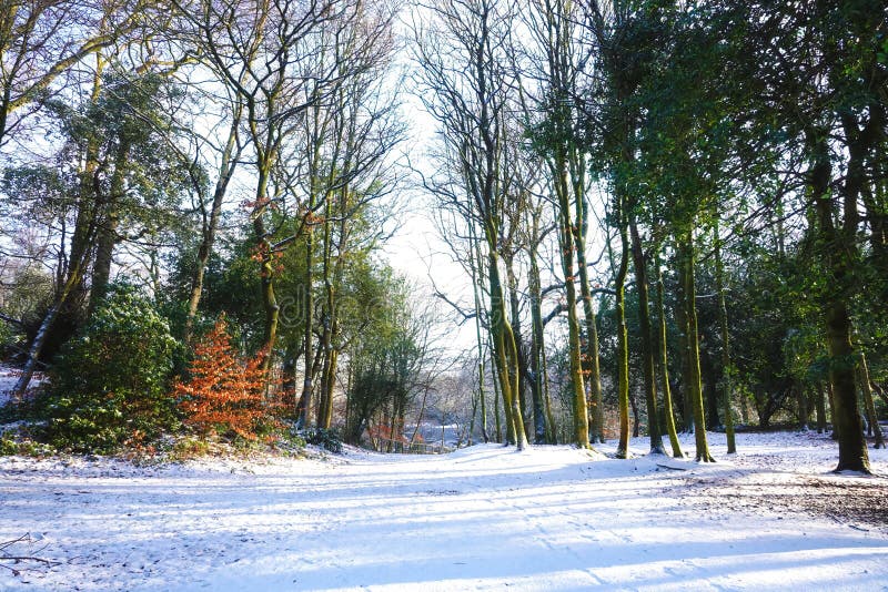 Patrick Gosling (Patrick57) - Photographer profile