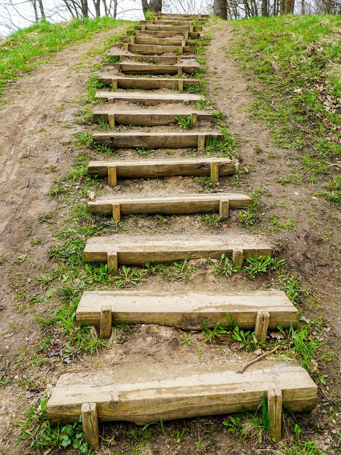 Simple Solid Wood Step Stairs without Handrails in Nature Park, Bottom ...