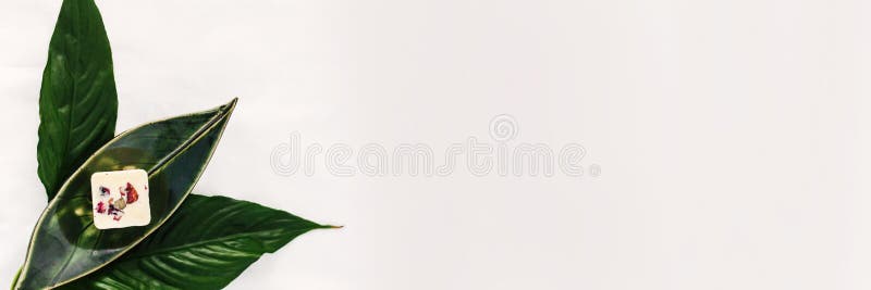 Simple Spa Background with Place for Text Isolated Banner. Stock Image ...