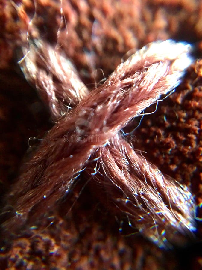 Simple stitch stock image. Image of stitch, simple, close - 105582601