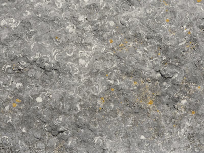 Simple Stone Texture Close Up, Abstract Background Stock Image - Image ...