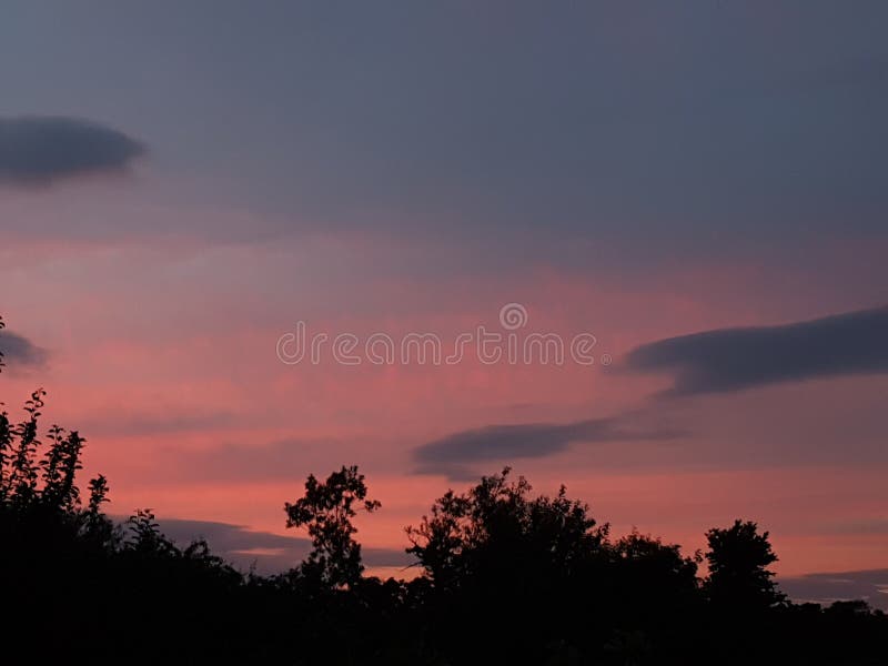 Simple sunset stock photo. Image of trees, camera, warm - 124220620