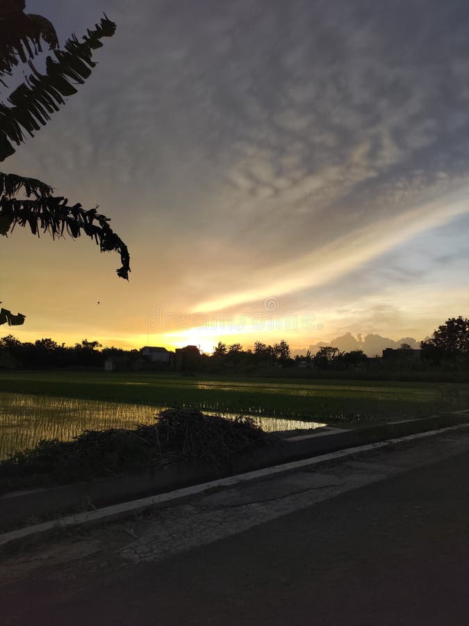 Simple sunset sky stock photo. Image of lighting, yellow - 271871546