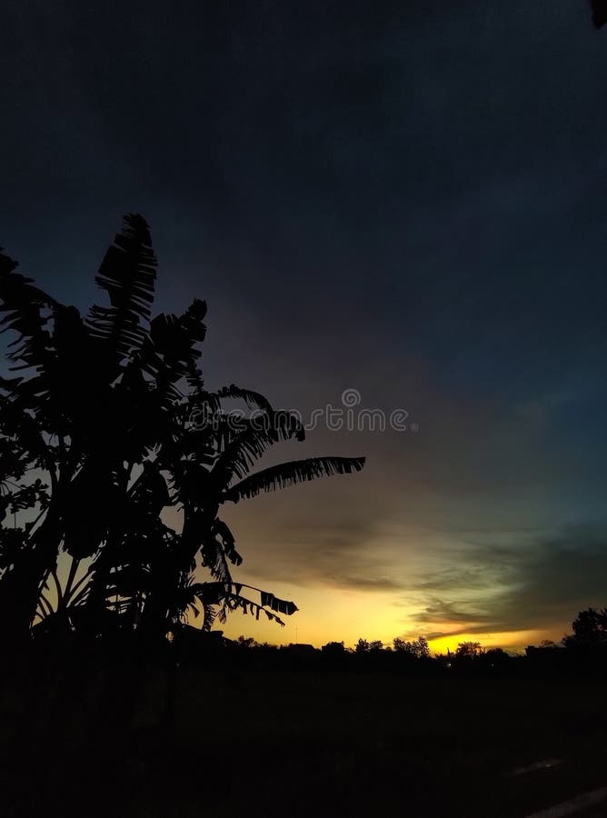 Simple sunset view stock image. Image of sunlight, tree - 271871409
