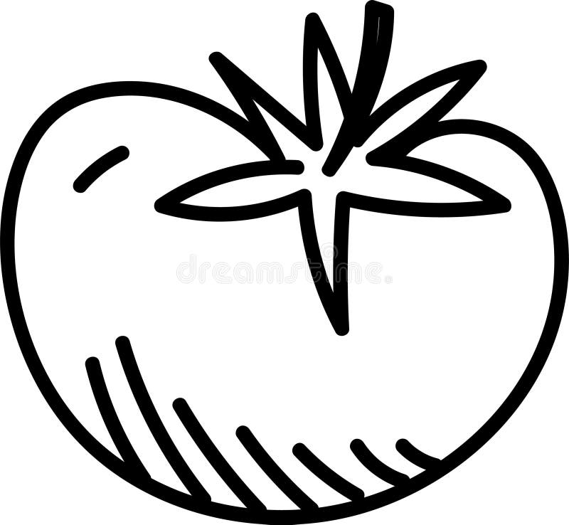 Simple Tomato Line Drawing stock illustration. Illustration of icon ...