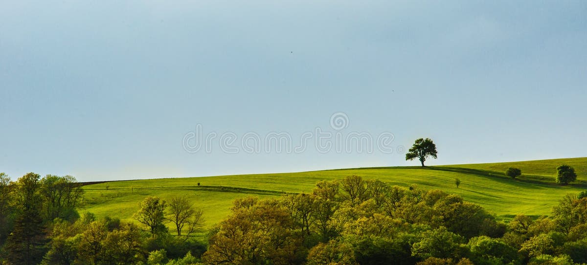 Former Dacian Defense Fort Stock Photos - Free & Royalty-Free Stock ...