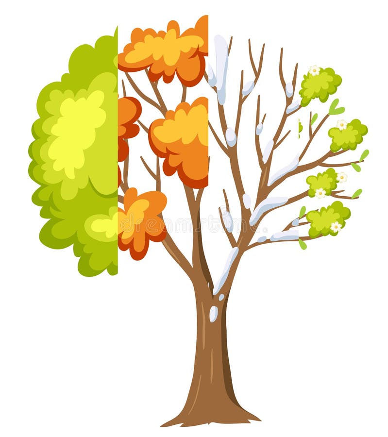 Simple Tree on White Background Stock Vector - Illustration of vector ...