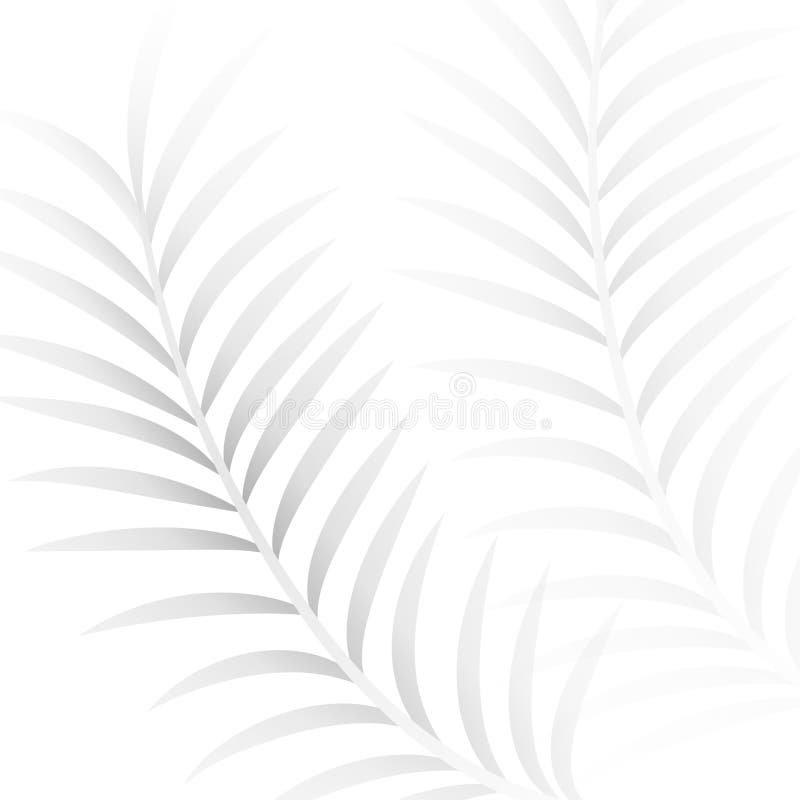 Simple Tropical Grey Leaves Background with Shadow Effect Stock ...